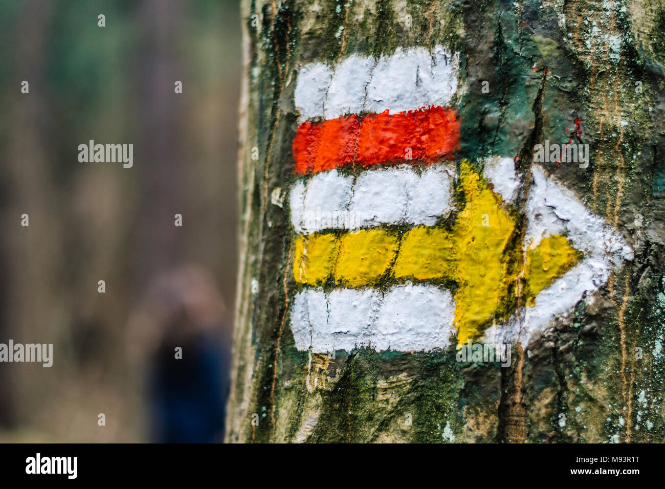 Tourist color sign on the tree with an arrow. Close-up view, red and ...