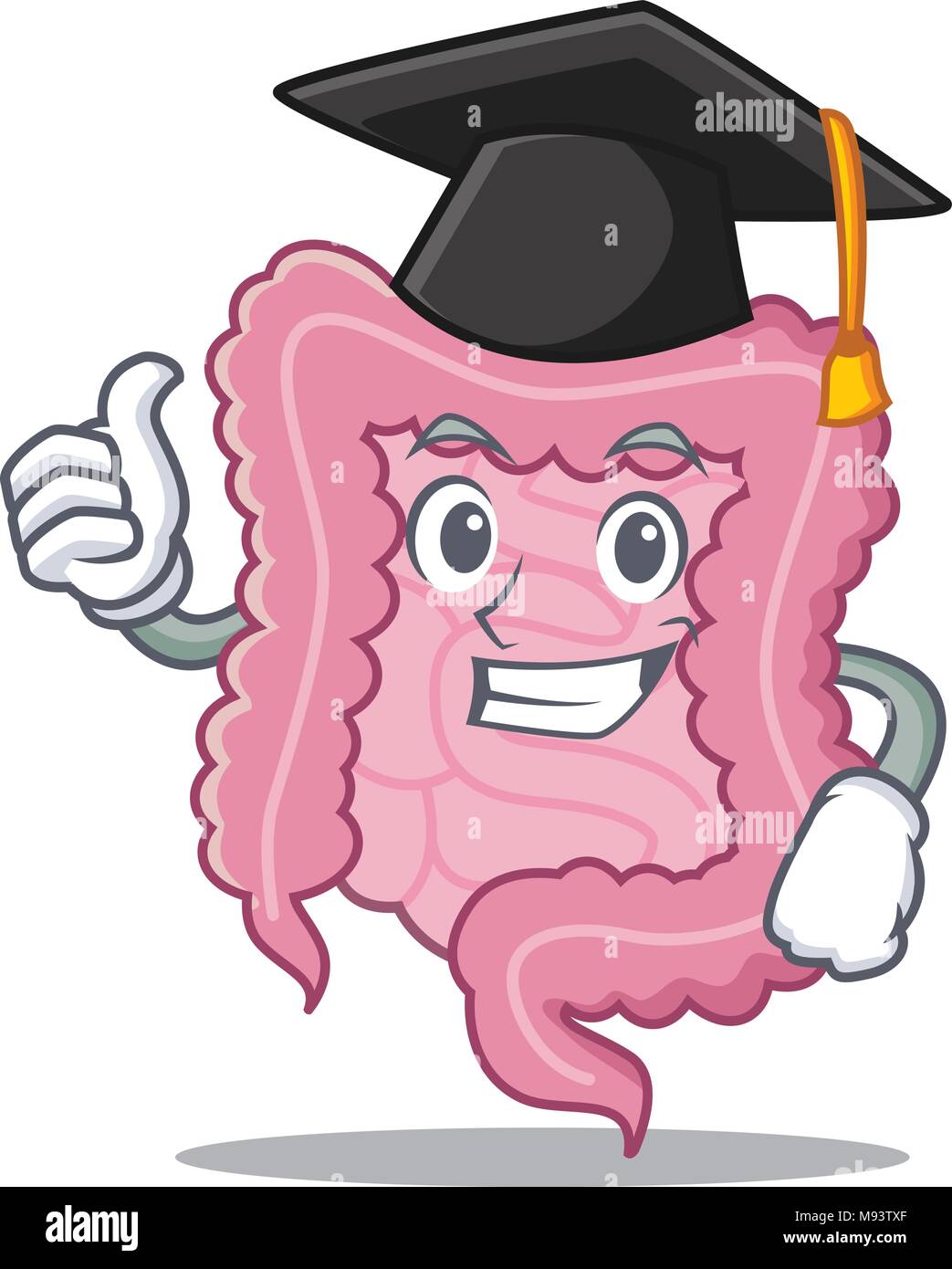 Graduation intestine character cartoon style Stock Vector Image & Art ...