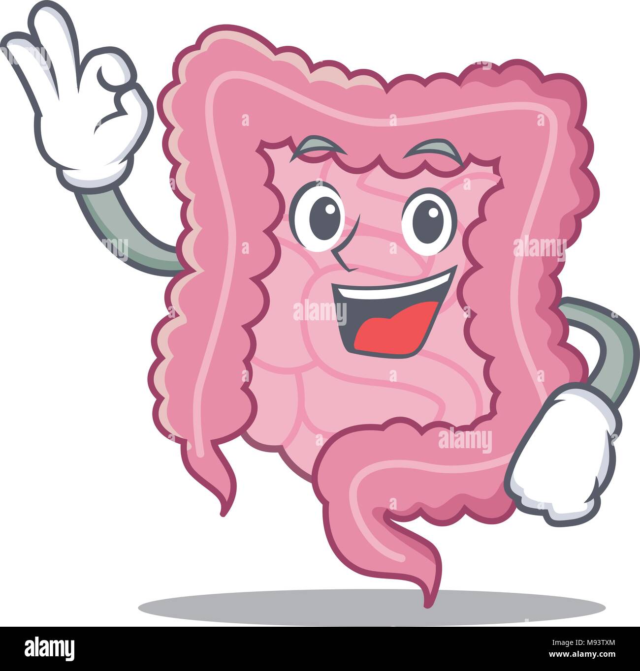 Okay intestine character cartoon style Stock Vector Image & Art - Alamy