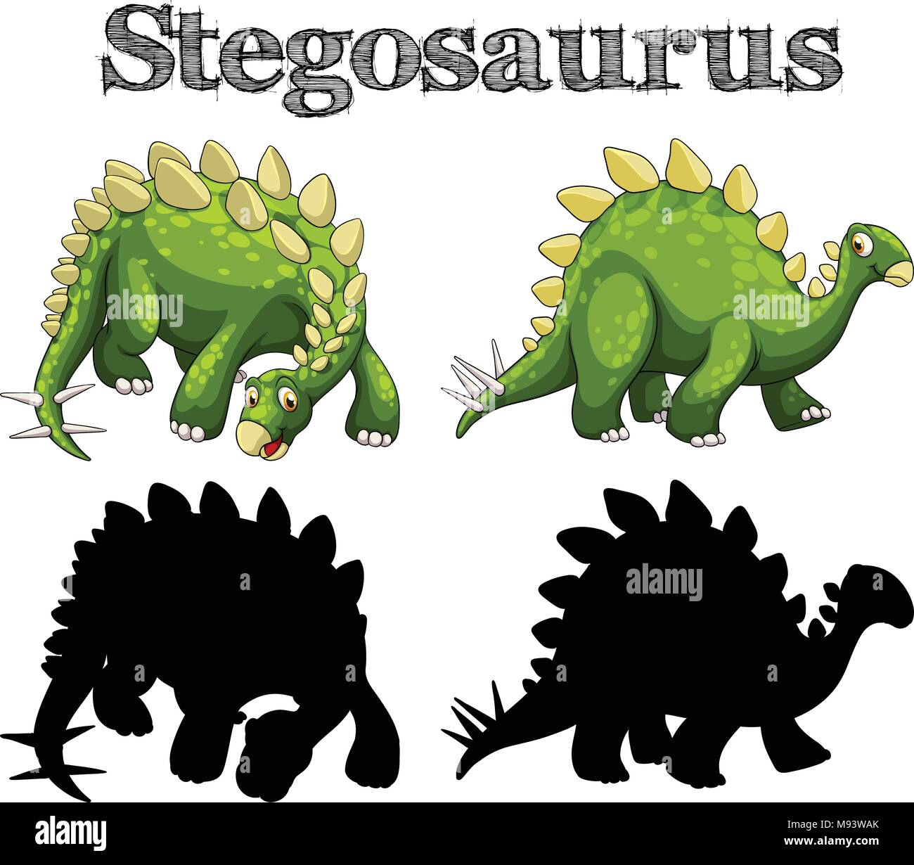 Two stegosaurus on white background illustration Stock Vector Image ...