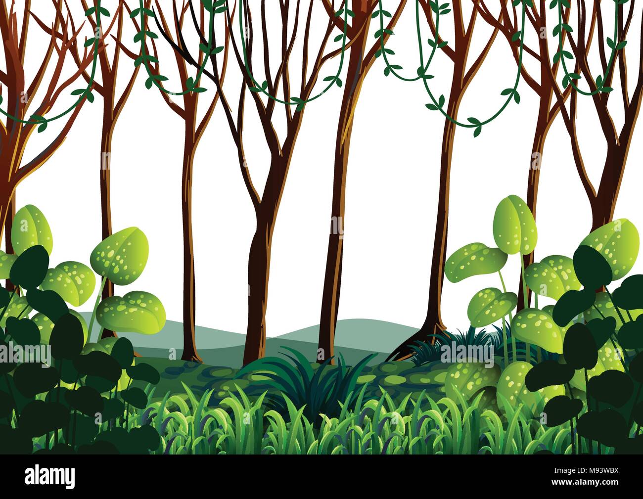 Forest scene with green trees illustration Stock Vector Image & Art - Alamy