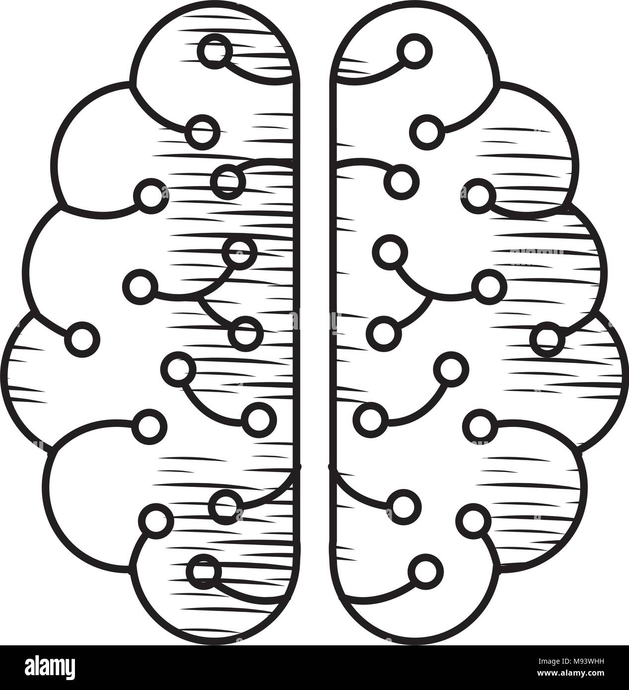 sketch of brain icon over white background, vector illustration Stock ...