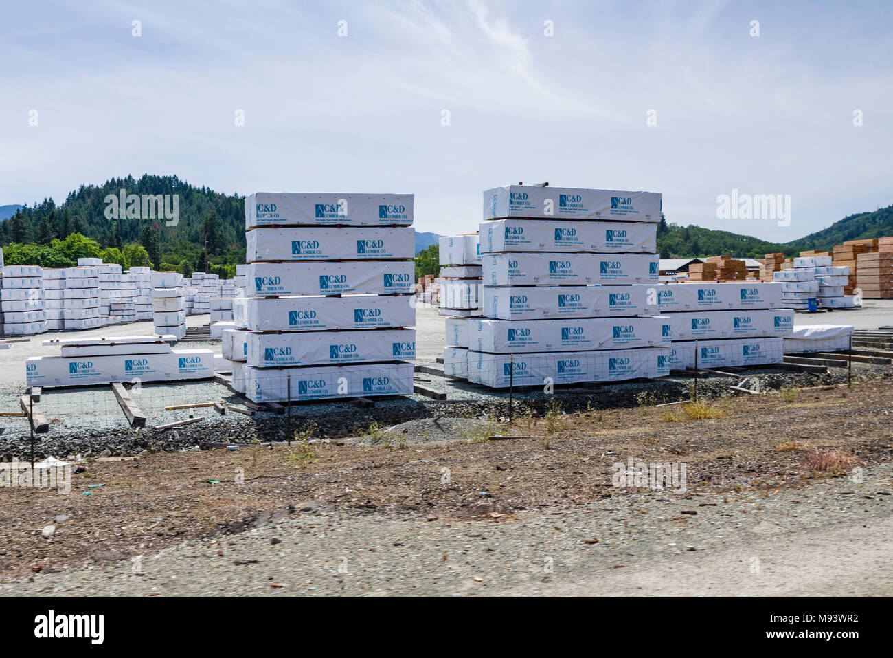Stacks of lumber milled and dried ready for shipping at the C&D Lumber ...
