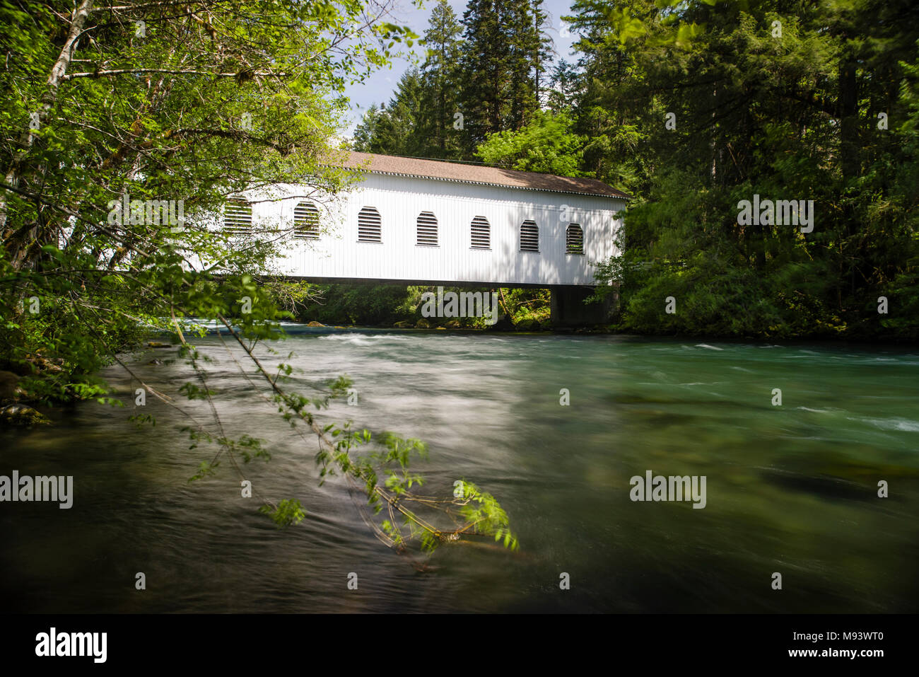 The Belknap Covered Bridge crosses the McKenzie RIver near Rainbow ...