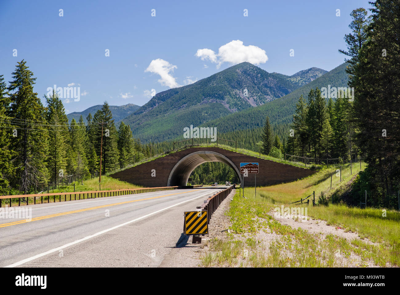 Animal's Bridge crossing US 93 in Montana is designed to allow wildlife ...