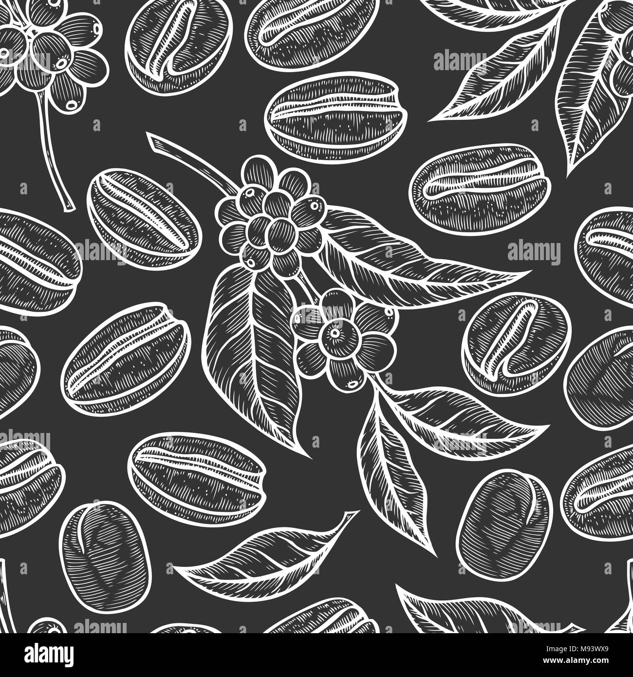 Coffee branches. Illustration of leaves and fruits of coffee in sketch style. Vintage background ...