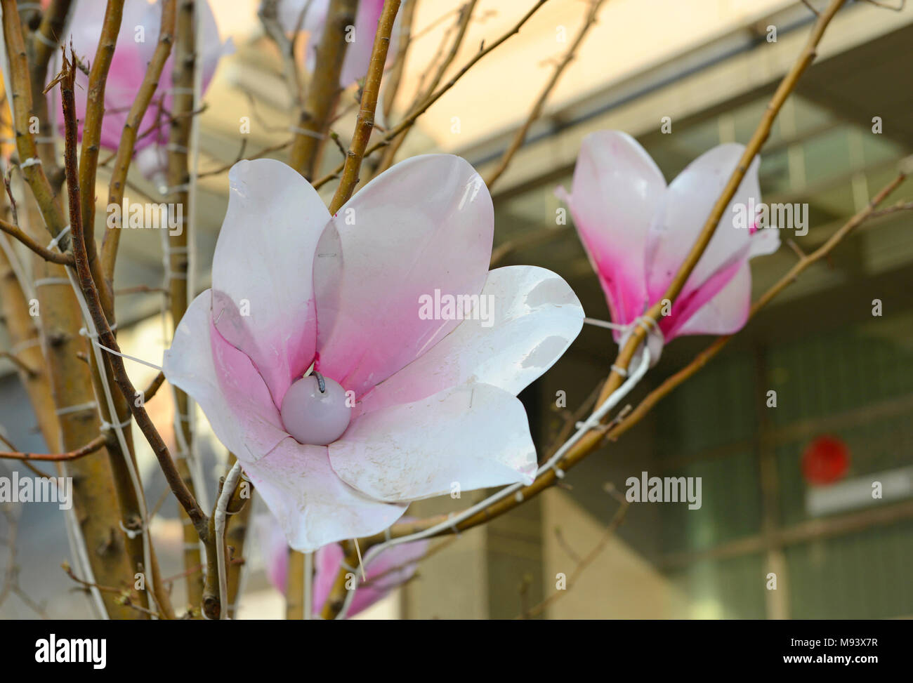 Magnolia street hi-res stock photography and images - Alamy