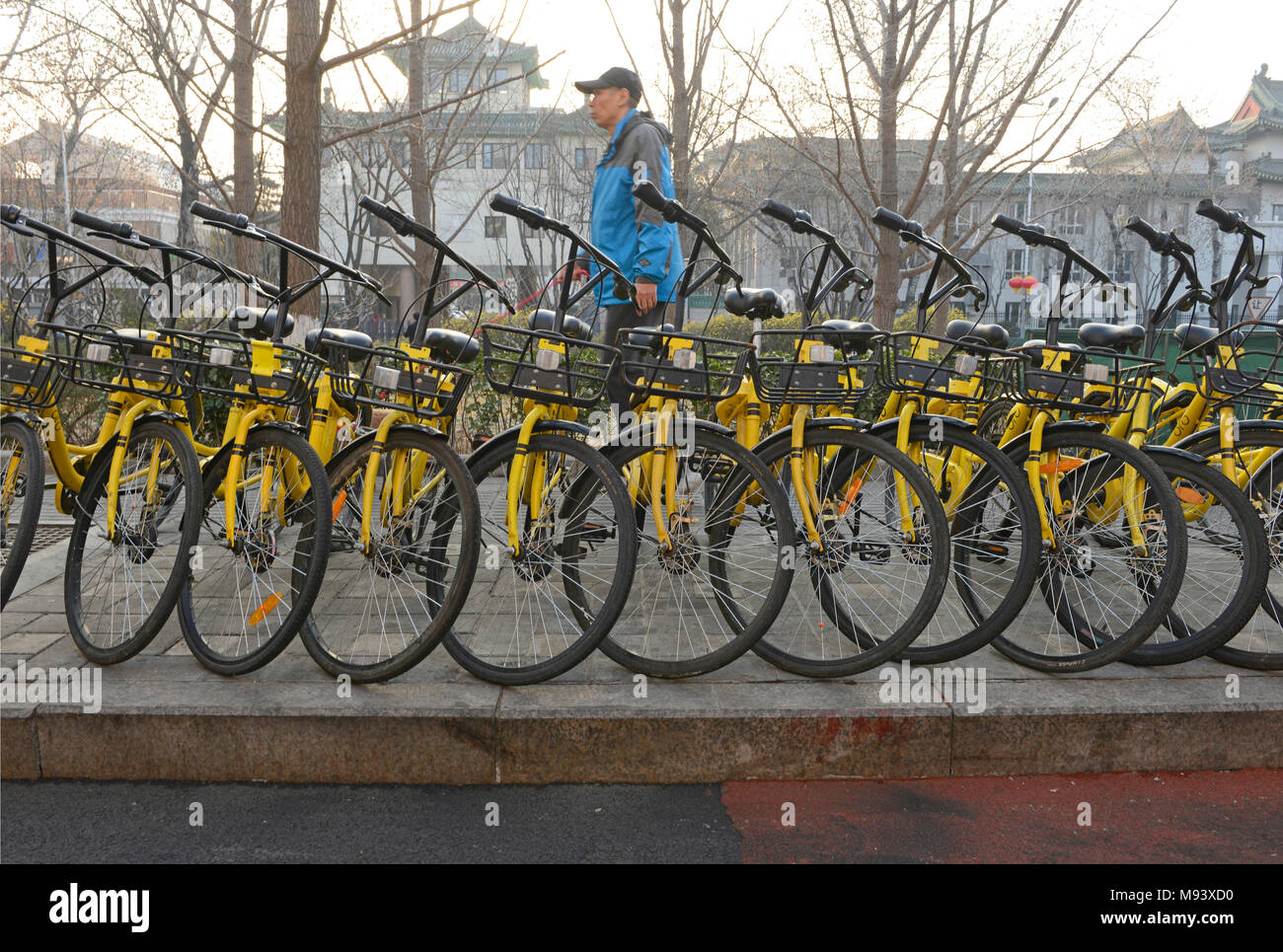 Ofo share bicycles parked on a street in central Beijing, China, as a ...