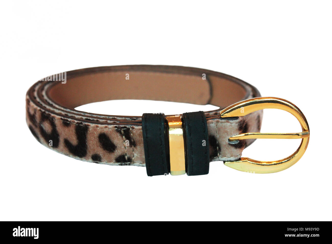 Female belt coiled isolated on white background Stock Photo - Alamy