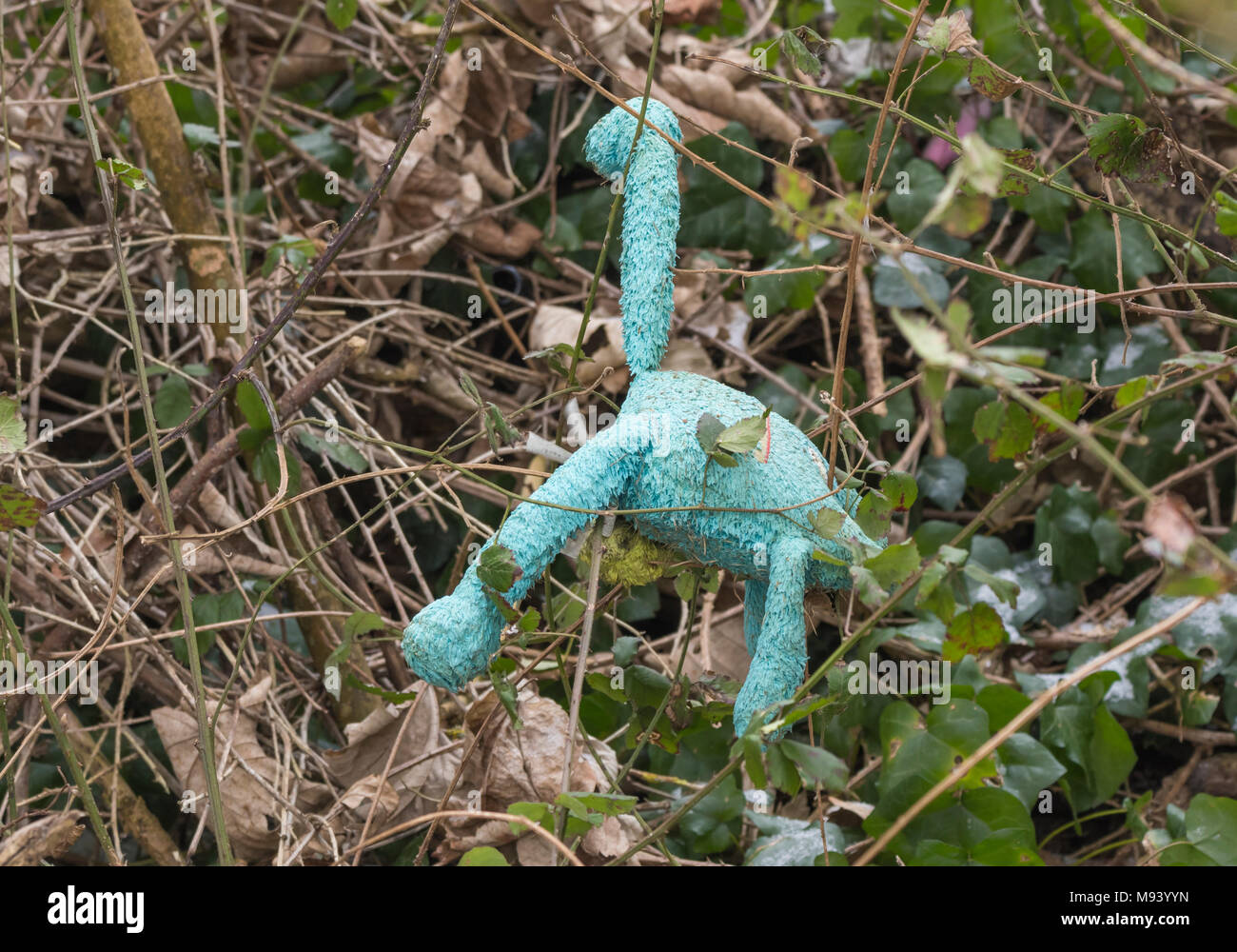 Abandoned stuffed toy hi-res stock photography and images - Alamy