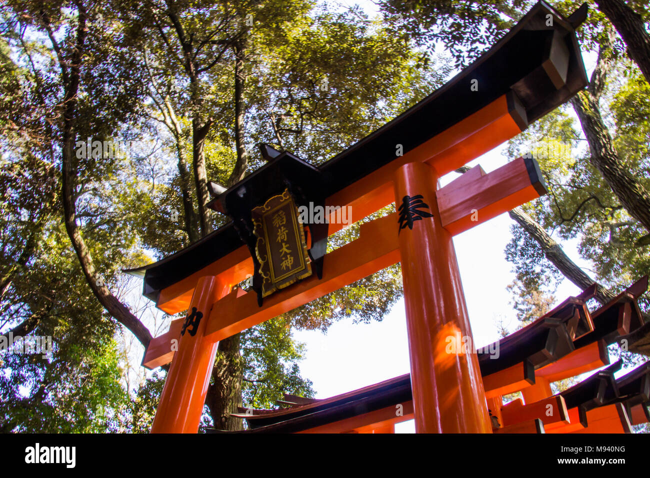 Stone torii gates hi-res stock photography and images - Alamy