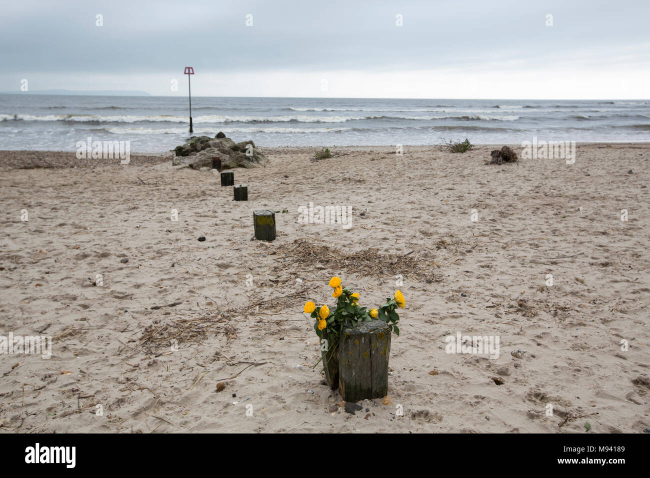 Châtelaine of Parham, Lady Emma Barnard, Parham House and Gardens ...