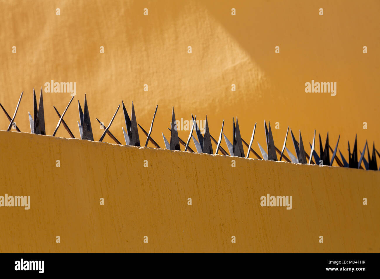 Security wall spikes Stock Photo - Alamy