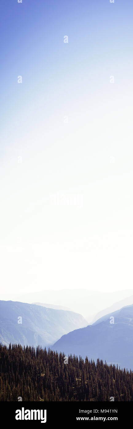 Forest cover hi-res stock photography and images - Alamy