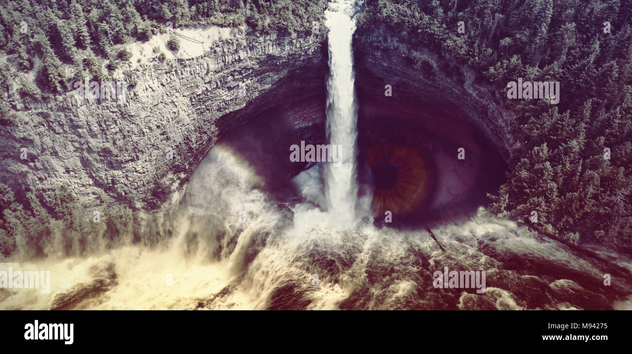 Circle forest hi-res stock photography and images - Alamy