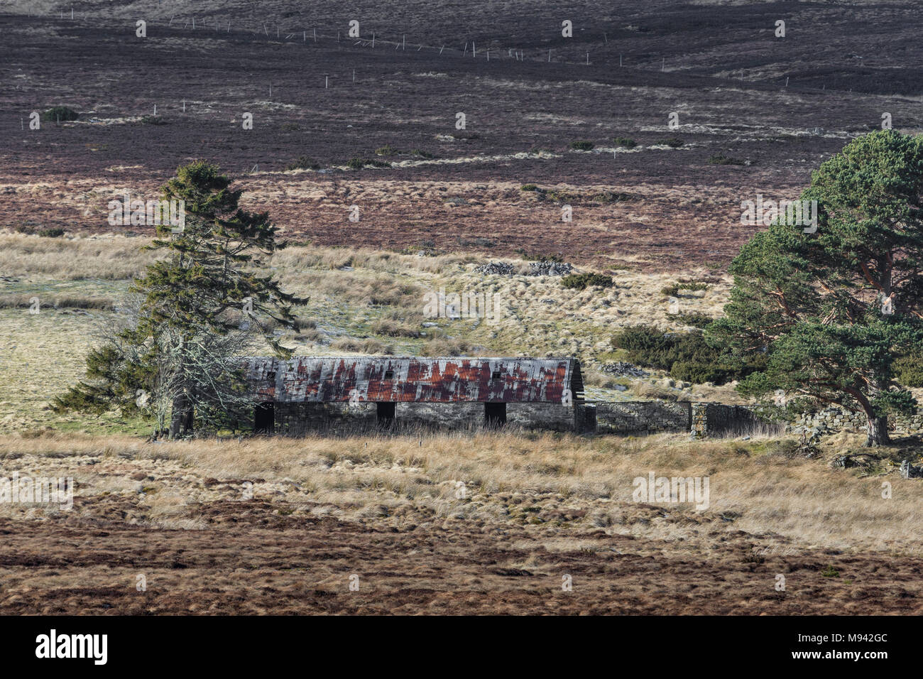 Abandoned Croft of Easter Crannich on Dava Moor in Scotland Stock Photo ...