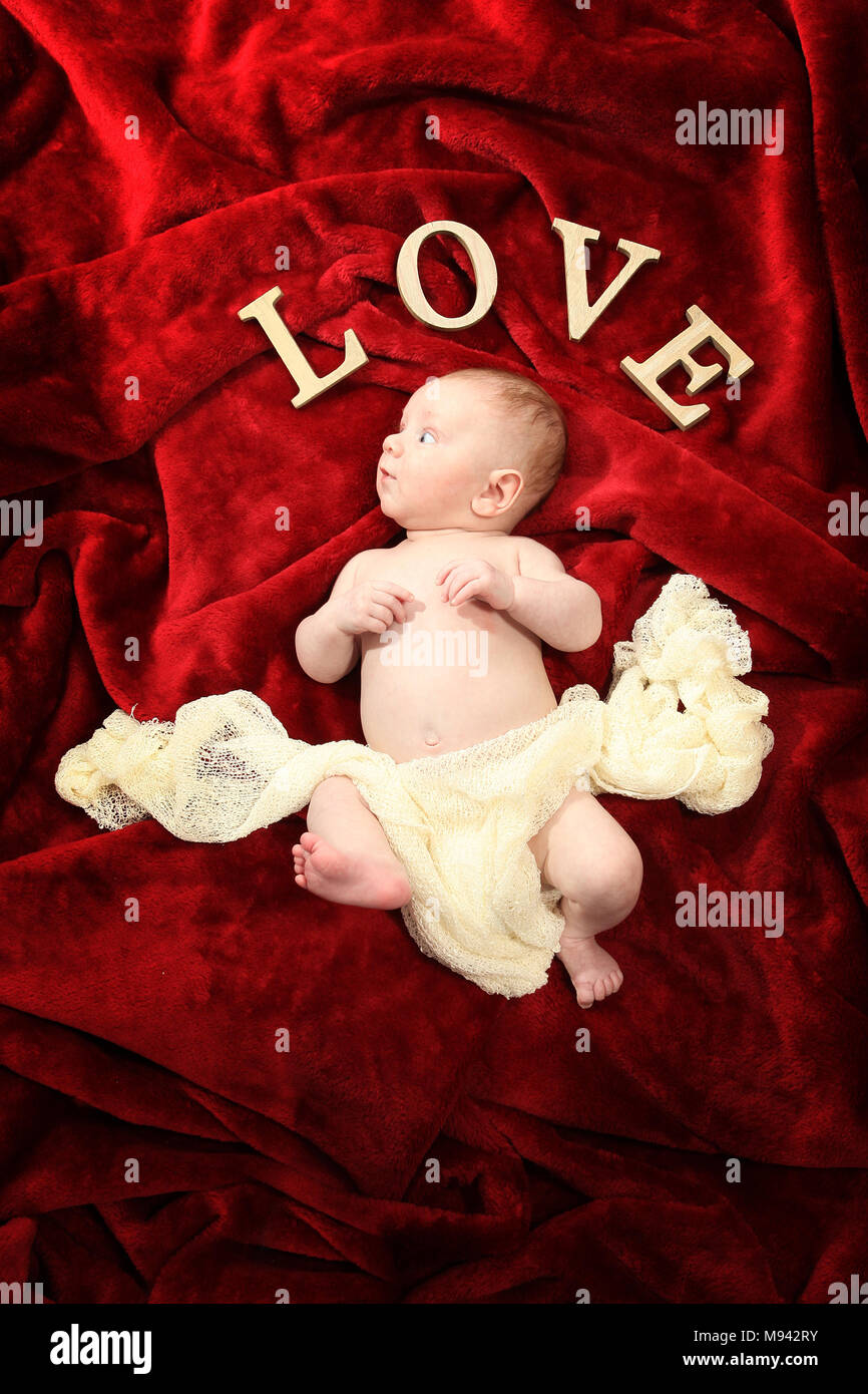 10 week old baby boy Stock Photo - Alamy
