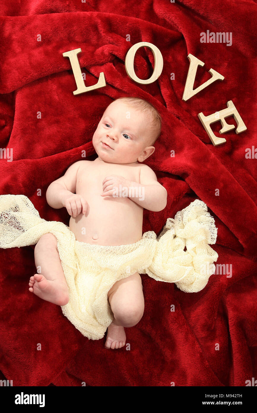 10 week old baby boy Stock Photo - Alamy