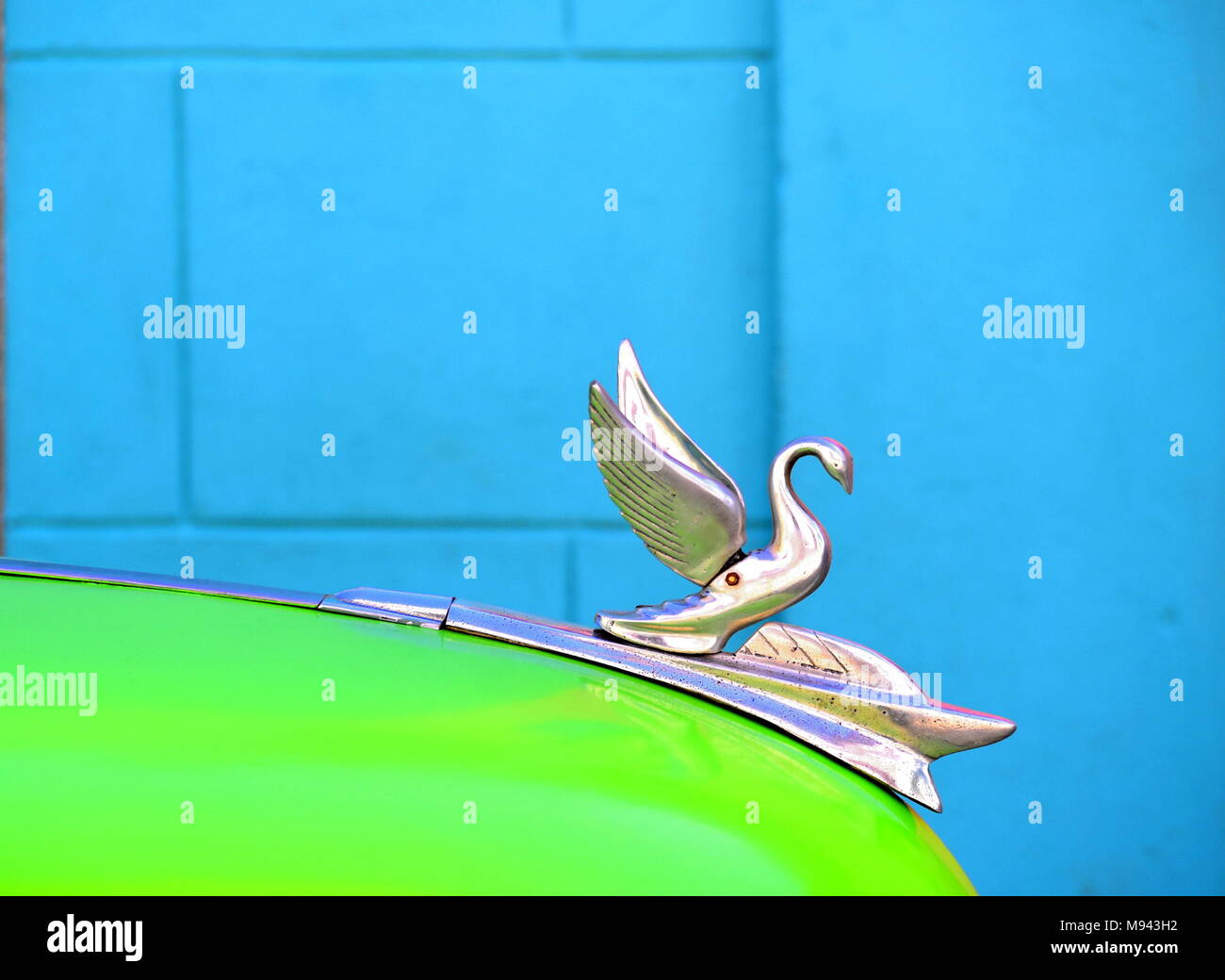 Blue bonnet flying hi-res stock photography and images - Alamy