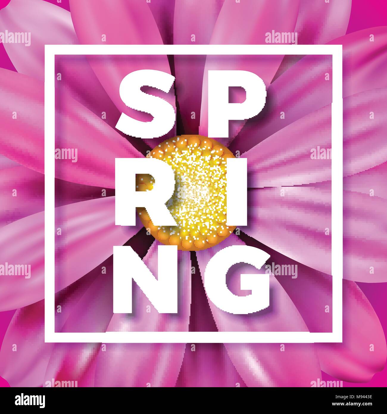 Vector spring illustration with beautiful colorful flower on Pink ...