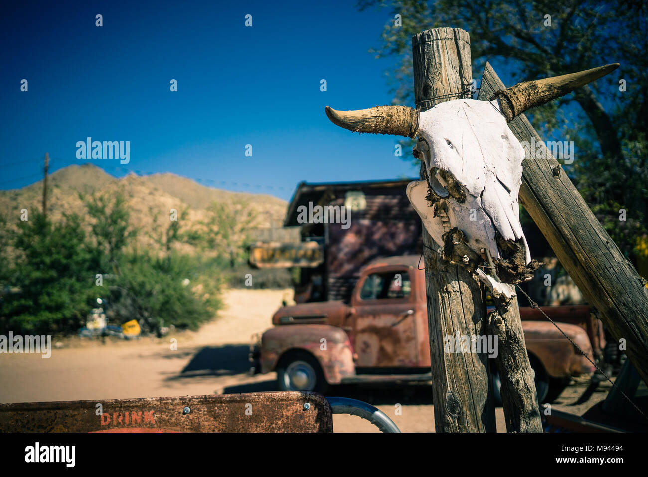 Death valley california skull hi-res stock photography and images - Alamy
