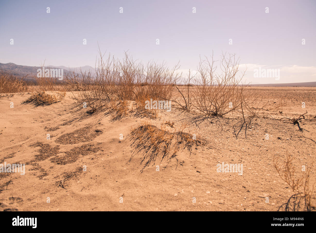 The desert of Death Valley Arizona Stock Photo - Alamy