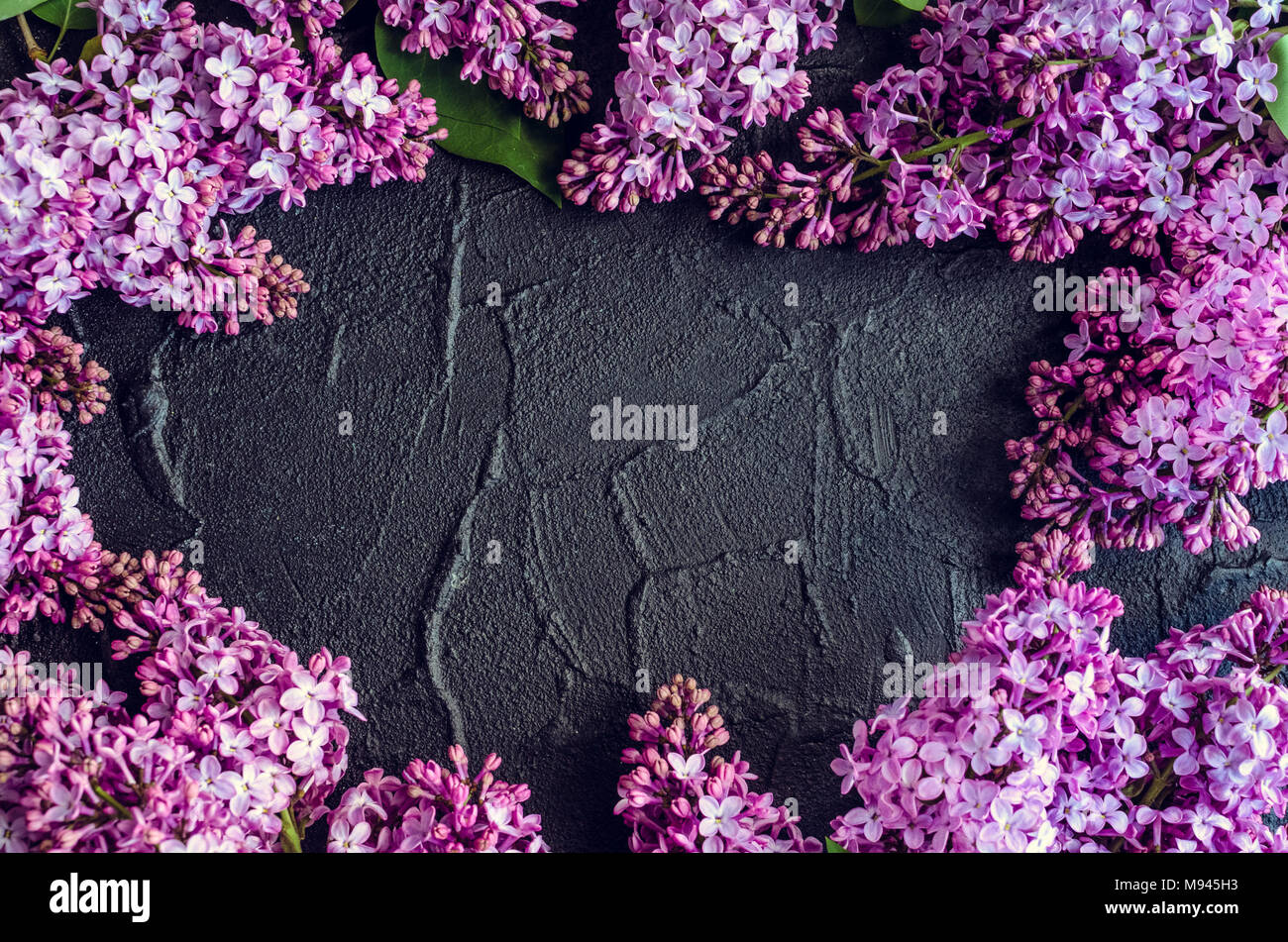 Dark Background Happy Spring