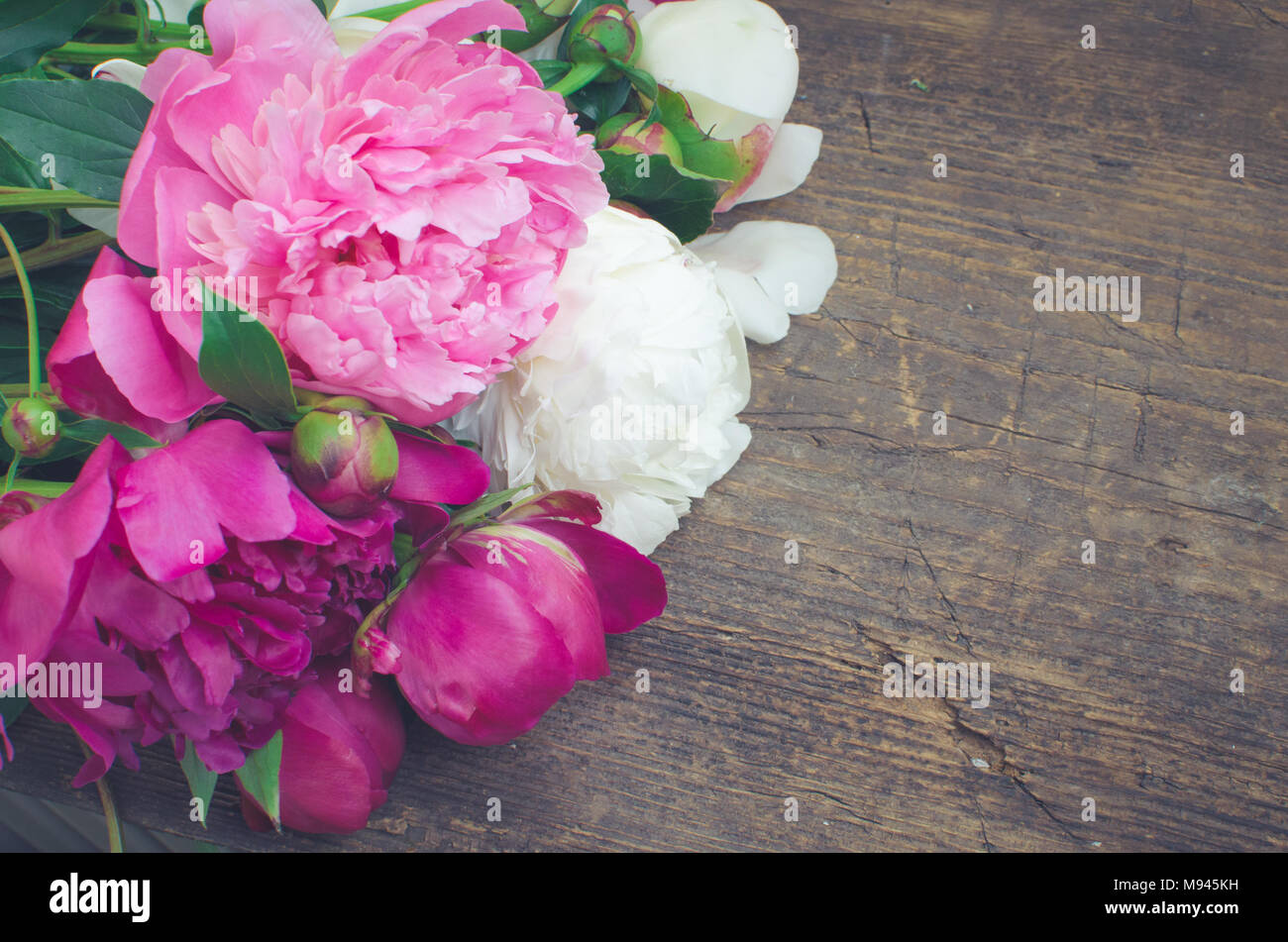 Woman with rosy peonies hi-res stock photography and images - Alamy