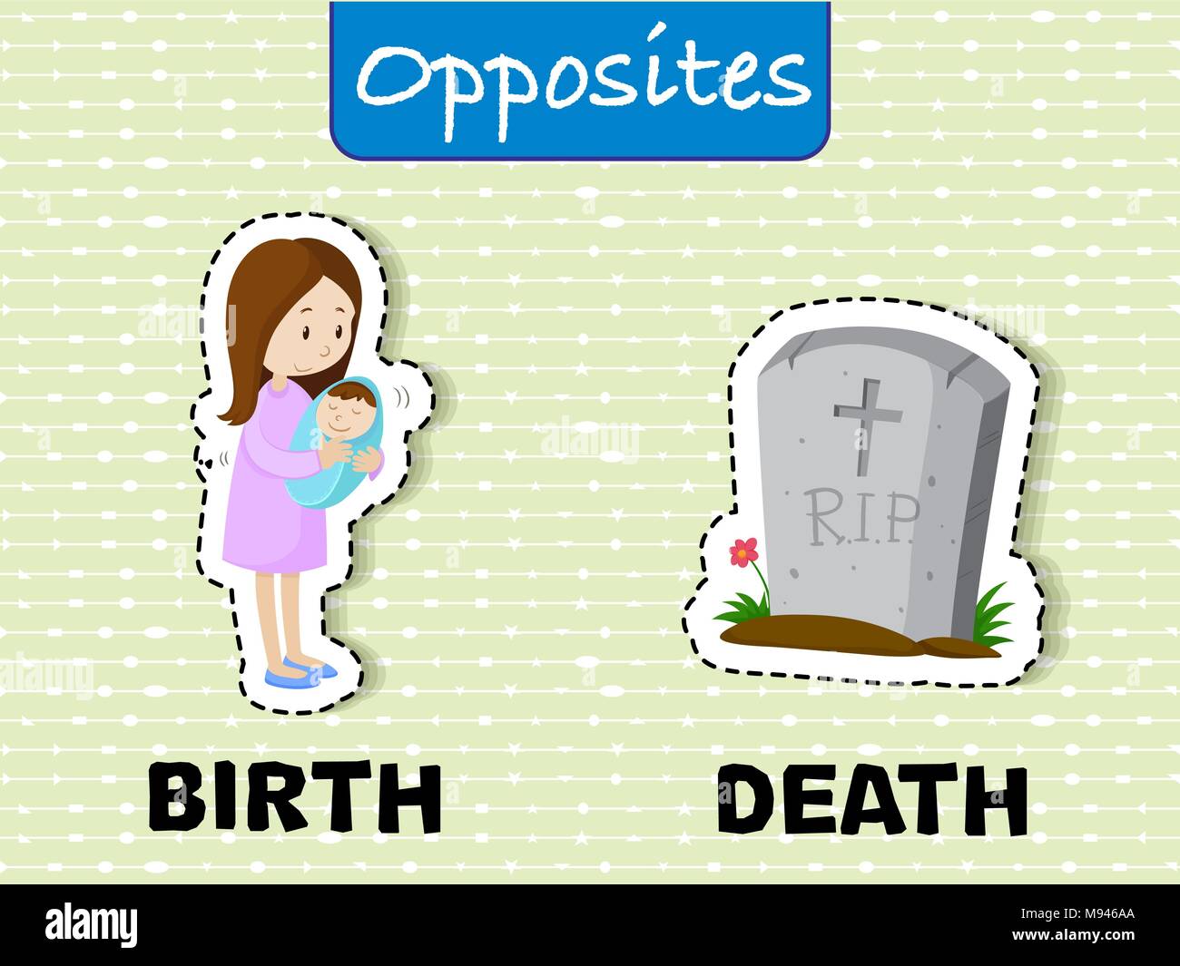Opposite words for birth and death illustration Stock Vector Image ...