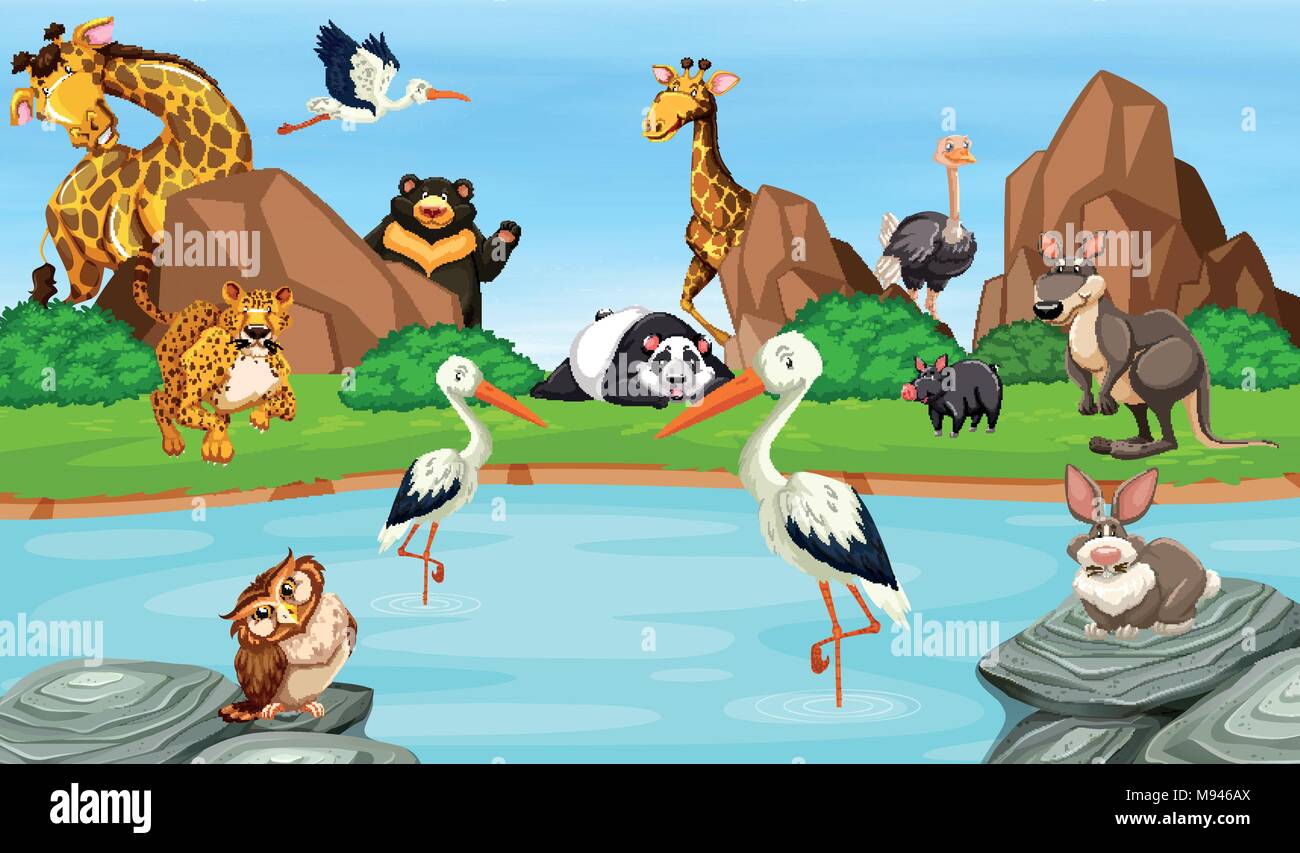 Many wild animals by the pond illustration Stock Vector Image & Art - Alamy