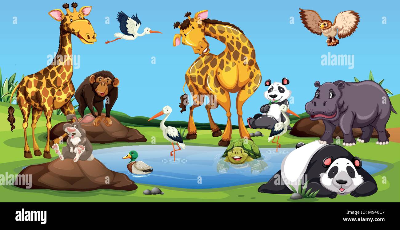 Wild animals together by the small pool illustration Stock Vector Image ...