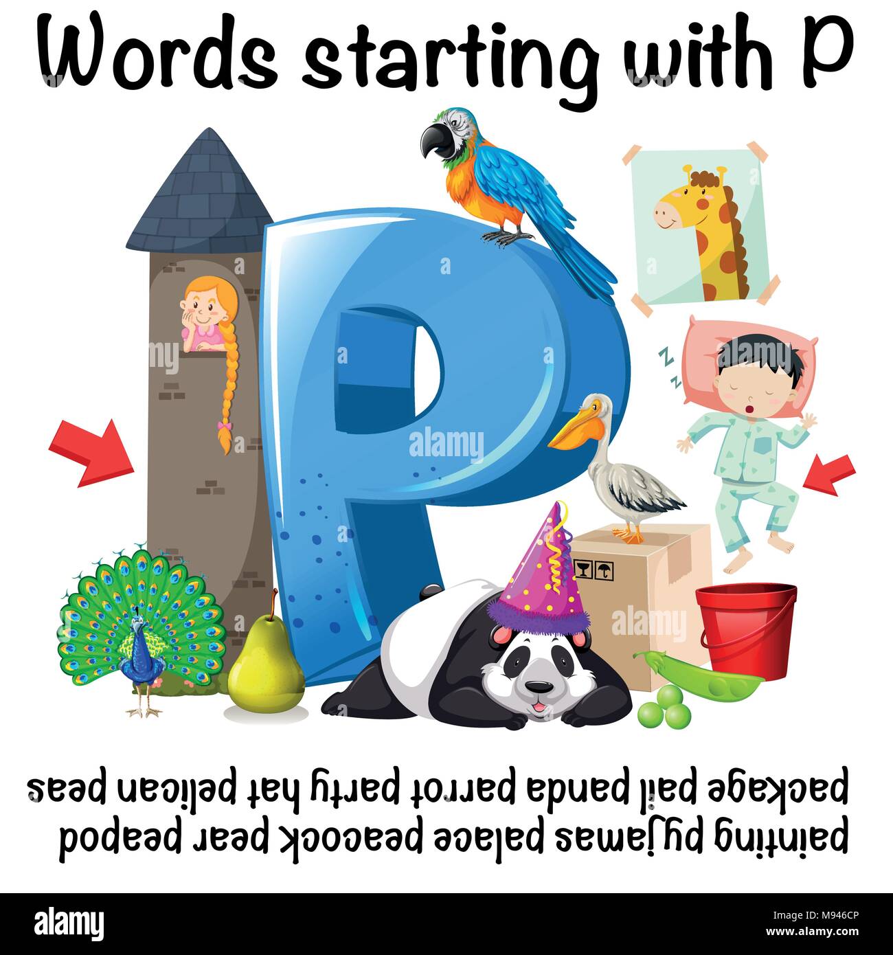 Words starting with P on white background illustration Stock Vector ...