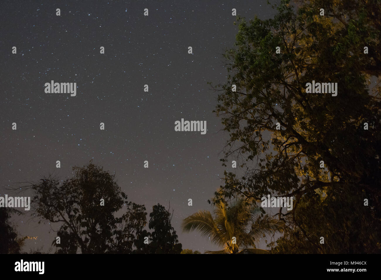 High iso image hi-res stock photography and images - Alamy