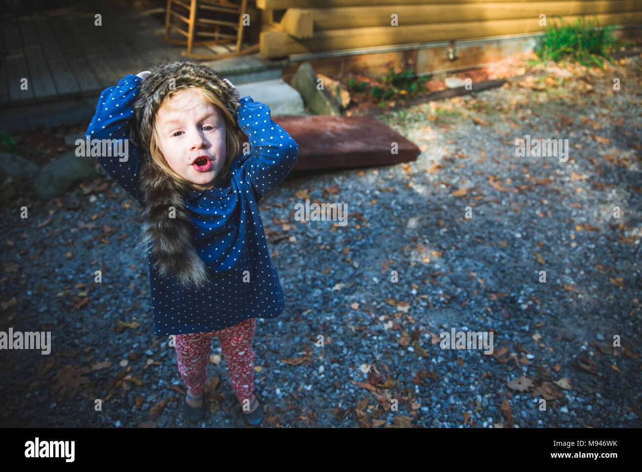 Coonskin cap hi-res stock photography and images - Alamy