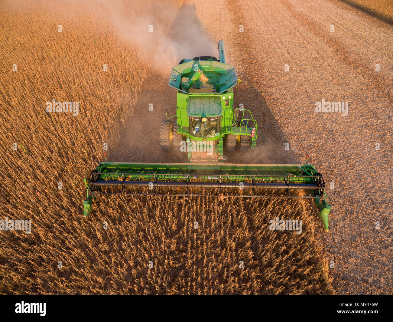 63801-09305 Soybean Harvest, John Deere combine harvesting soybeans ...