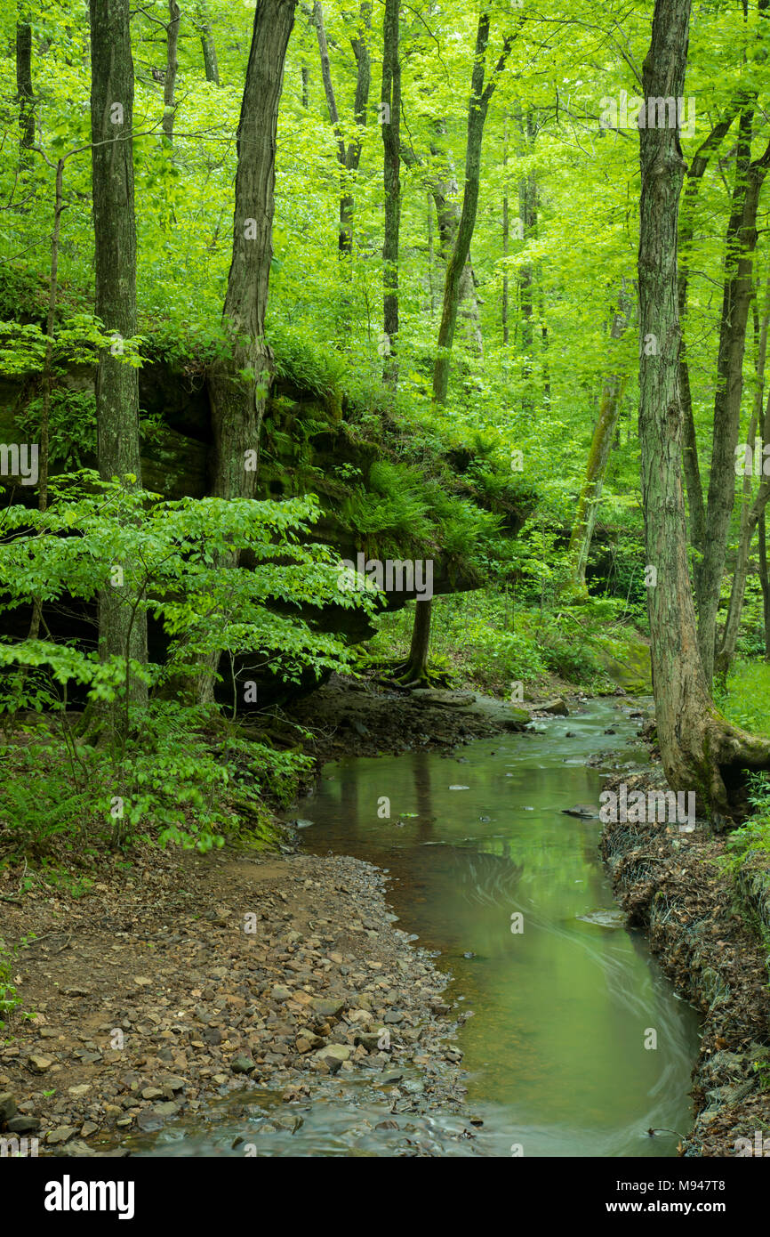 Ferne park hi-res stock photography and images - Alamy