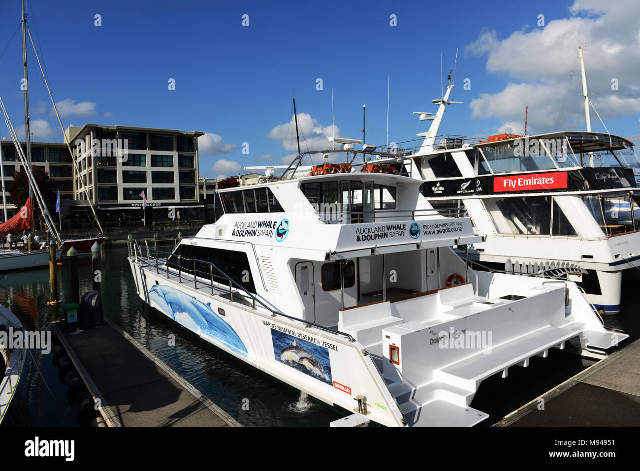 Auckland Whale and Dolphin safari boats at the Viaduct harbour Stock ...
