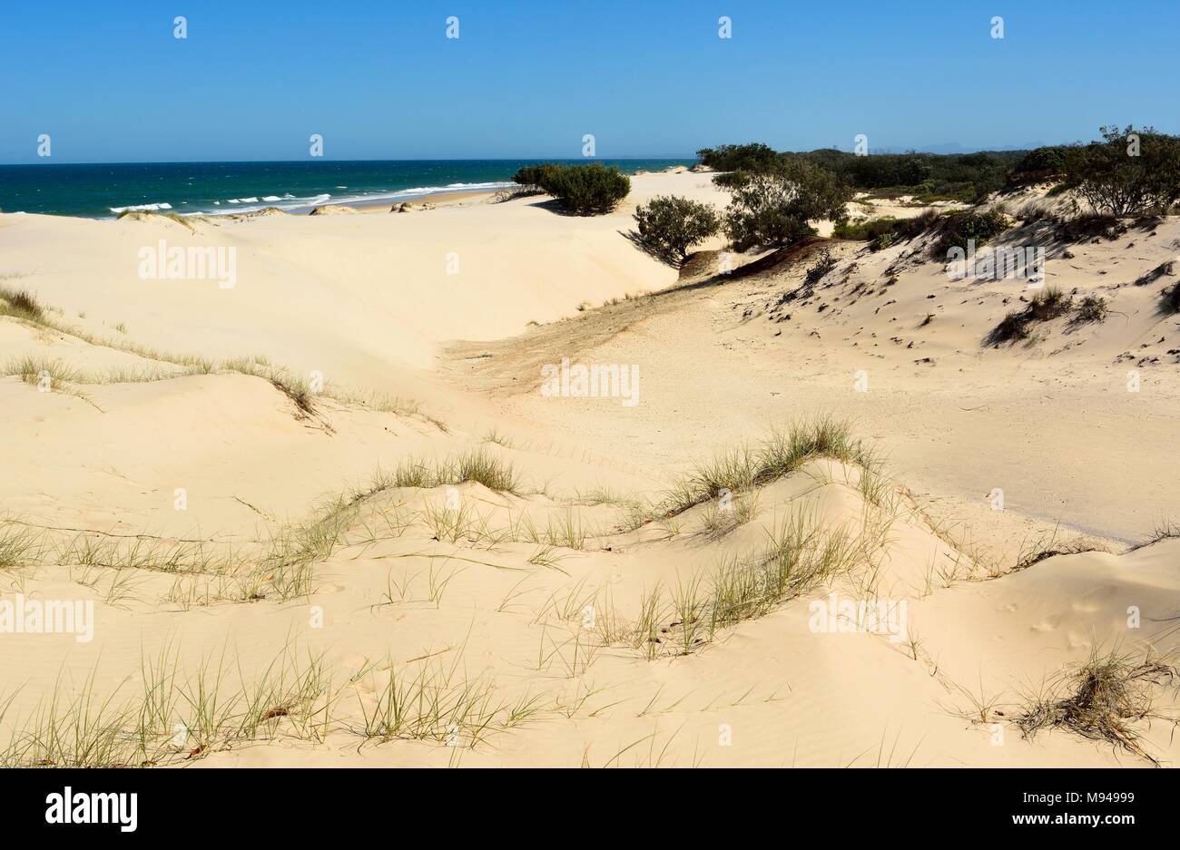 Moreton island sand dune hi-res stock photography and images - Alamy