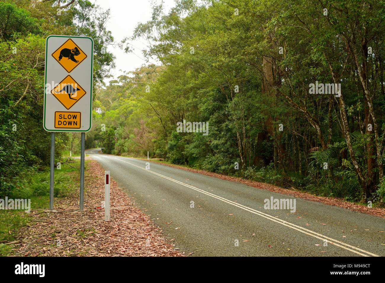 Slow Down traffic sign along the road in Australia, with images of ...