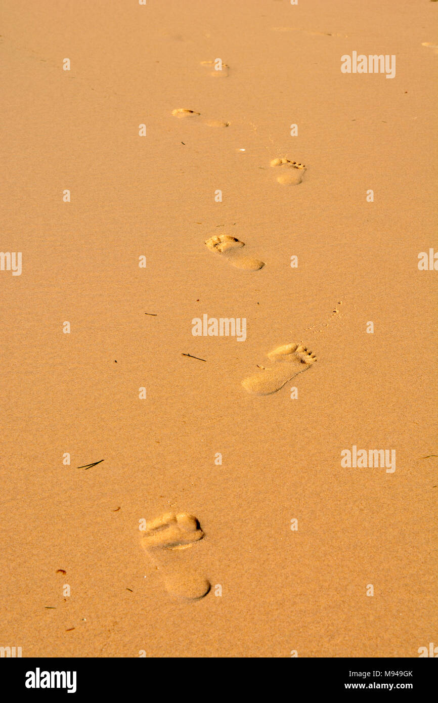 Footprints in the sand. Rainbow Beach in Queensland, Australia Stock ...
