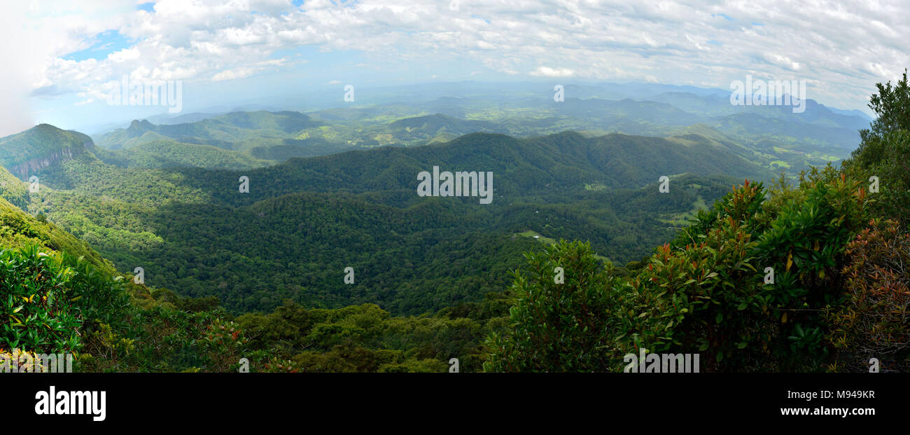 Landscape in Springbrook National Park, Queensland, Australia Stock ...