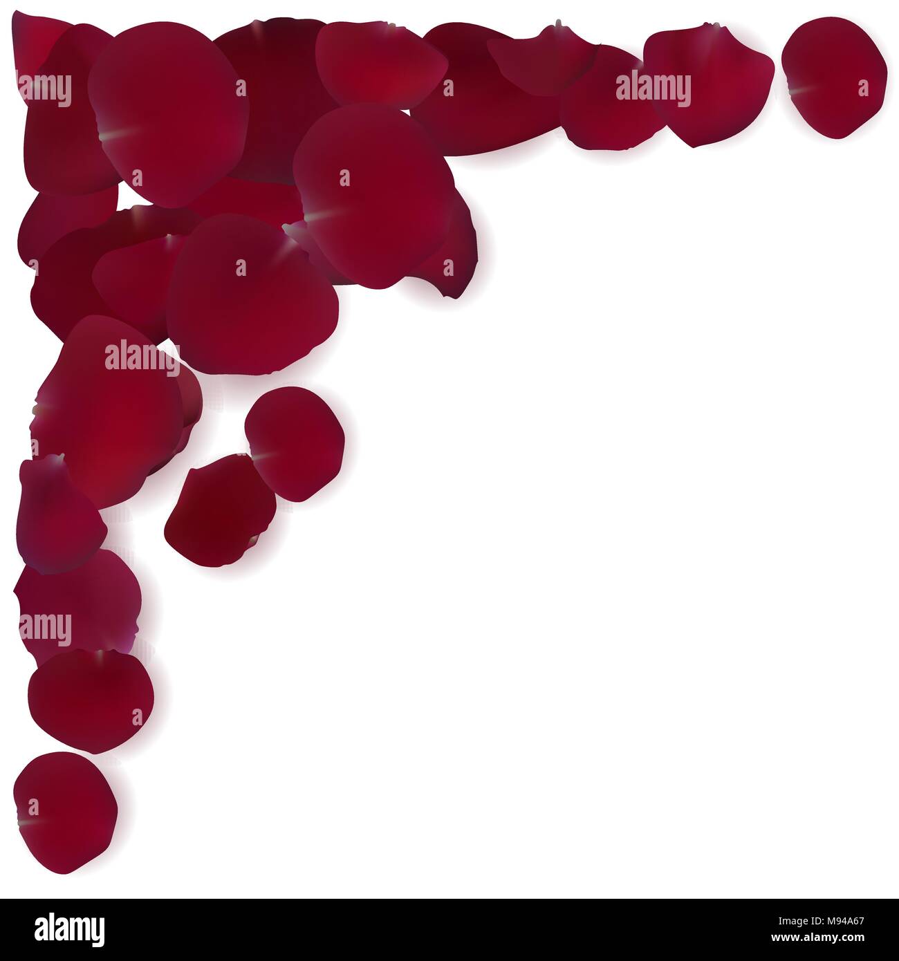 Beautiful red rose image Stock Vector Images - Alamy