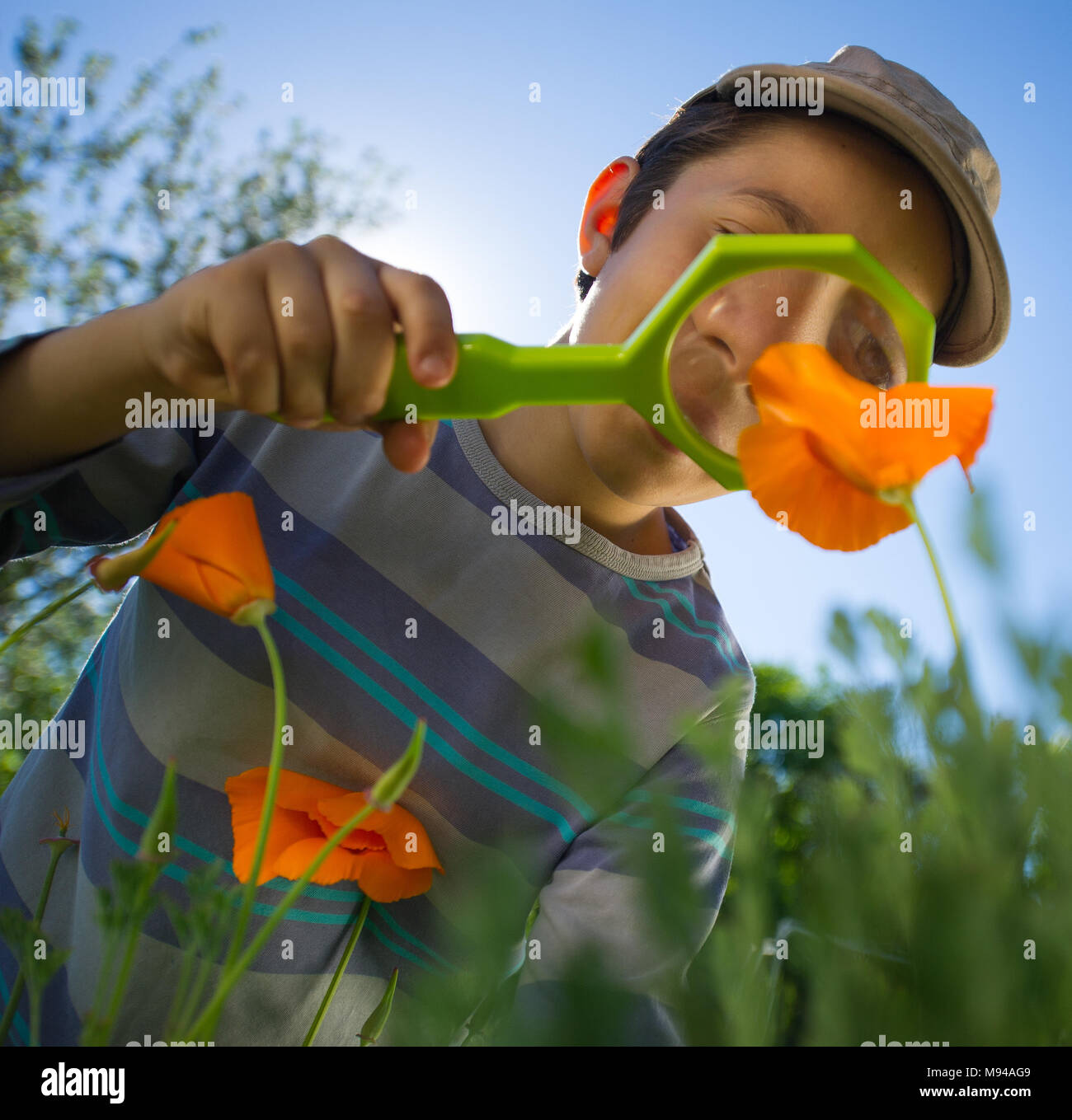 Child observing nature with a magnifying glass Stock Photo - Alamy