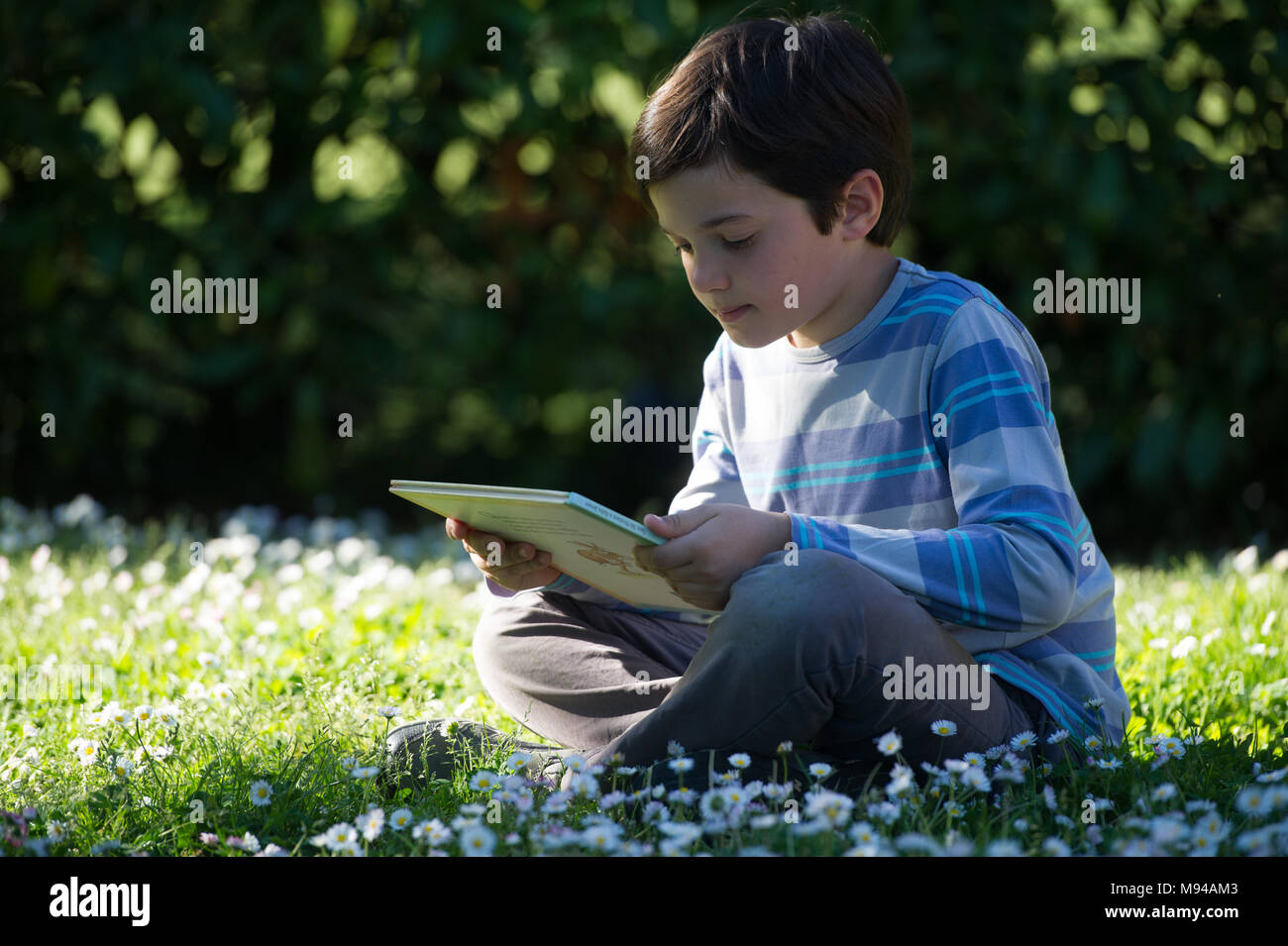 Reading book on grass child hi-res stock photography and images - Alamy