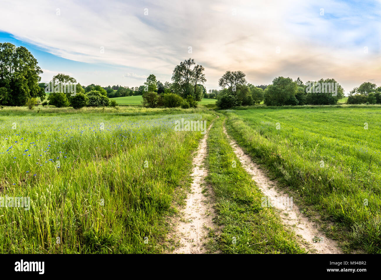 Green field landscape hi-res stock photography and images - Alamy