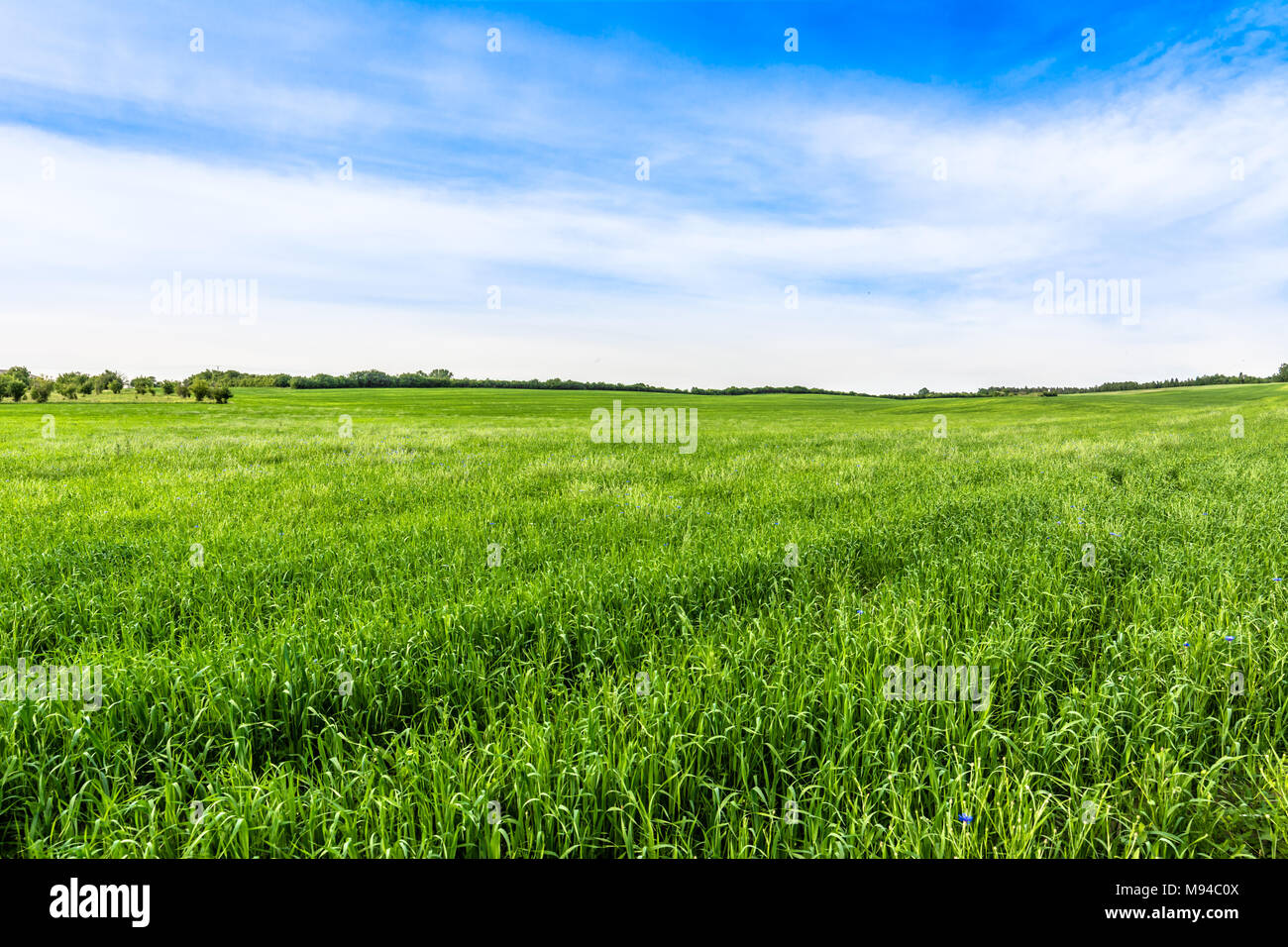 Green field landscape hi-res stock photography and images - Alamy