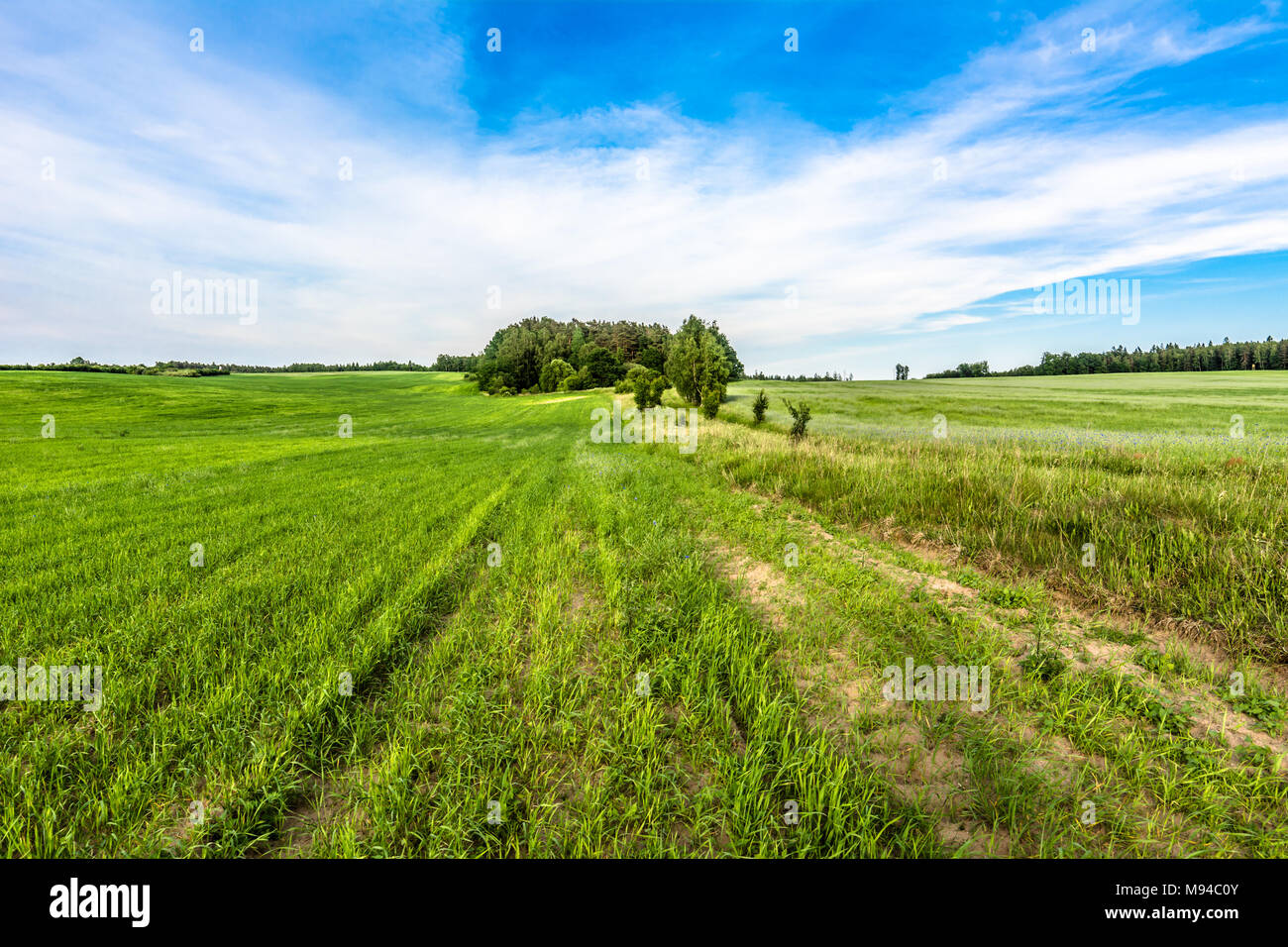 Vibrant spring landscape hi-res stock photography and images - Alamy