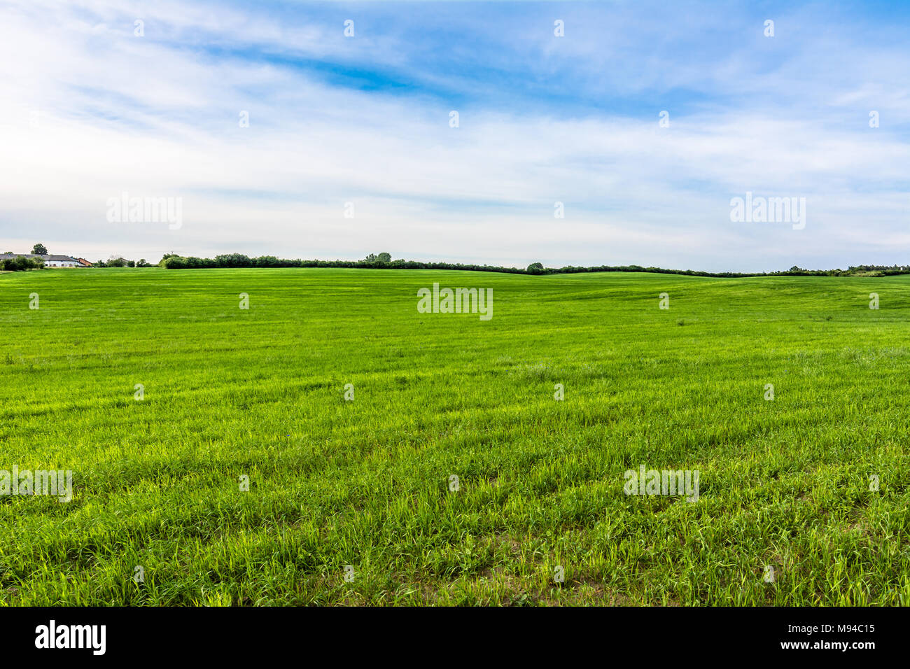 Sky, road and green field, spring landscape Stock Photo - Alamy
