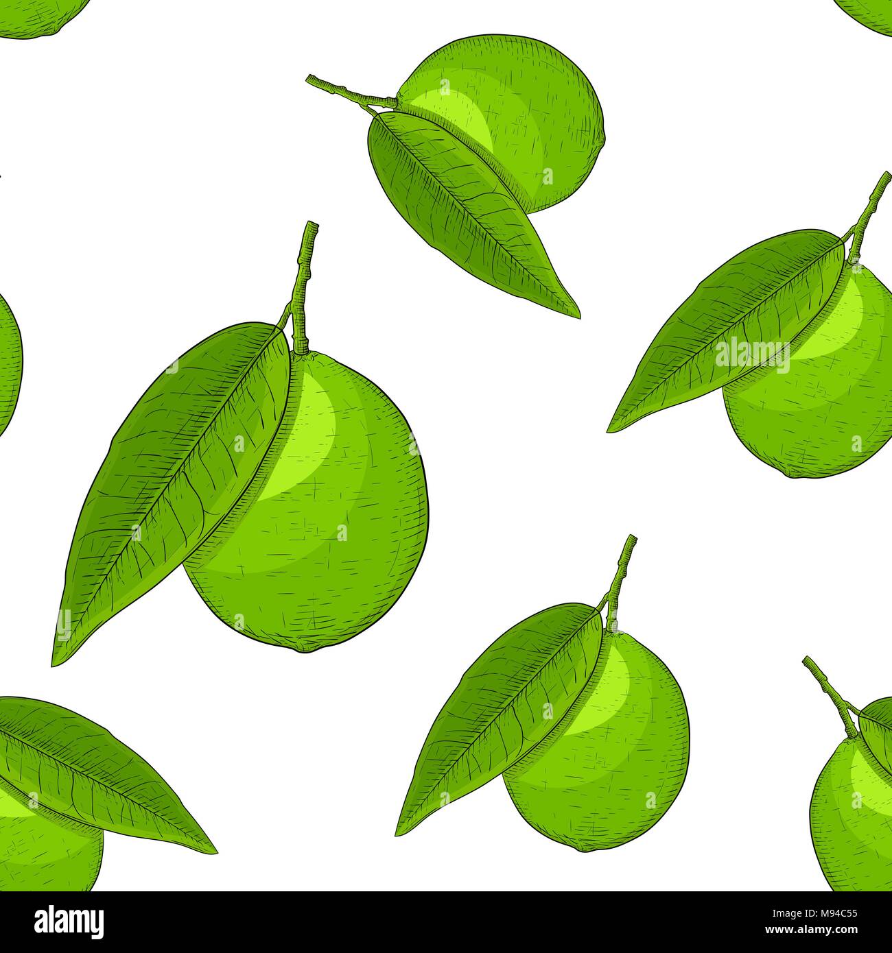 Lime fruits. Hand drawn colored sketch as seamless pattern Stock Vector ...
