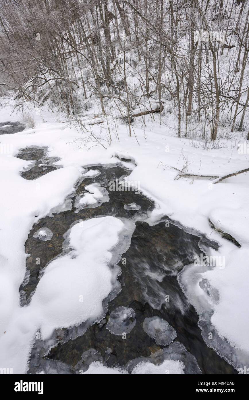 Stream, Winter scene, Osceola, WI, USA, February, by Dominique Braud ...